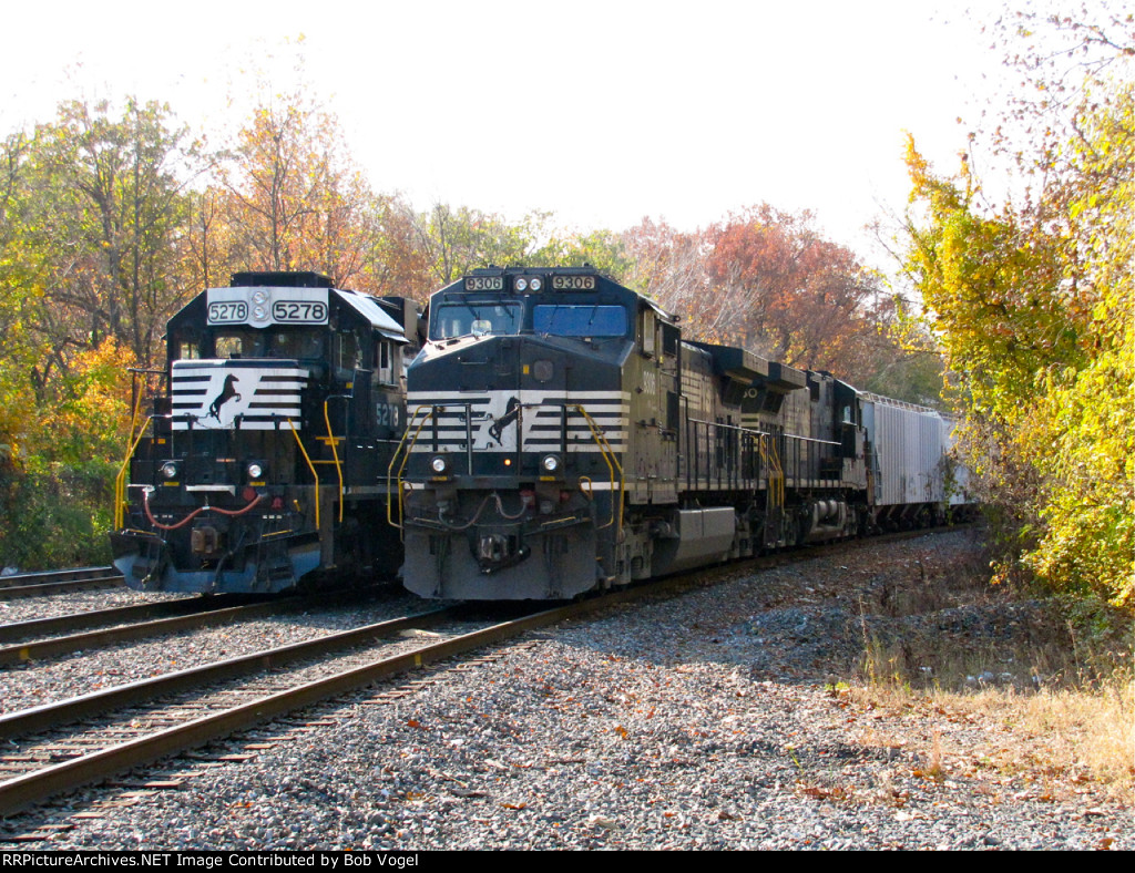NS 5278 and 9306